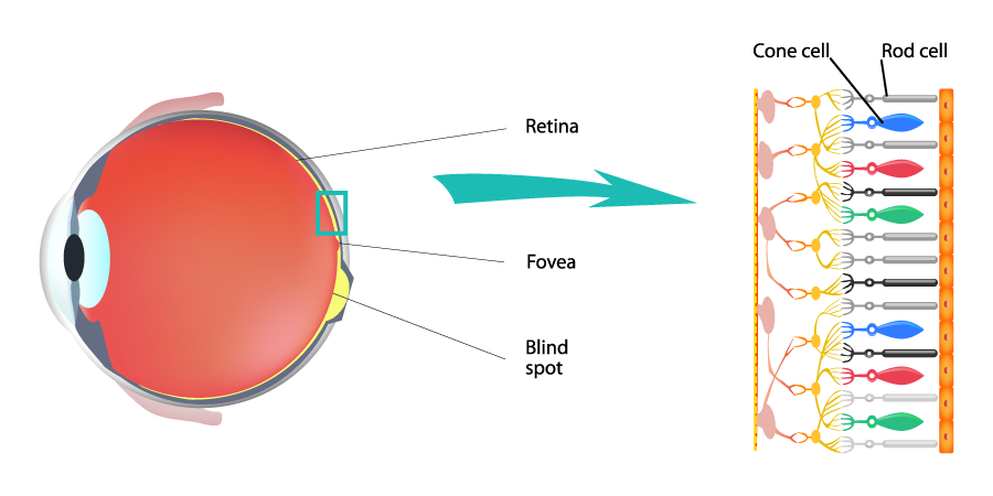 ColorGeek - 01-what-is-color-1